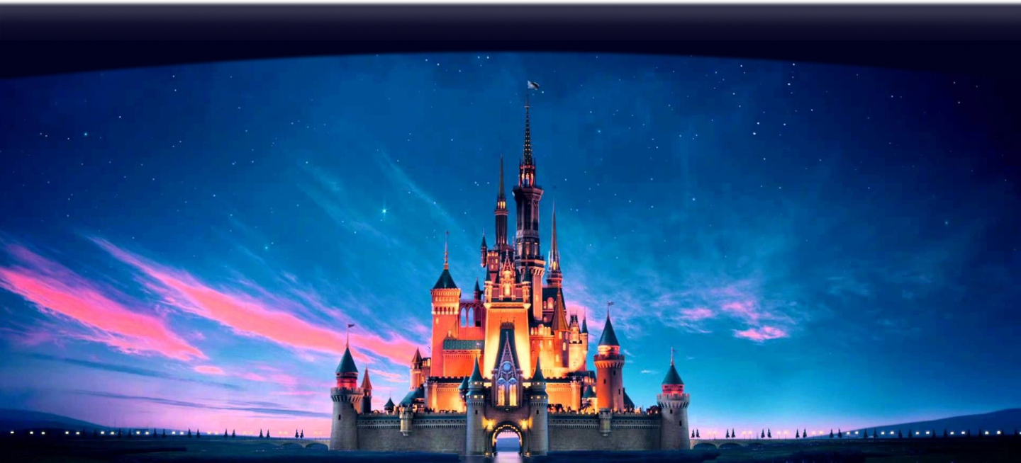 Disney Program - Rocha's Overseas Education